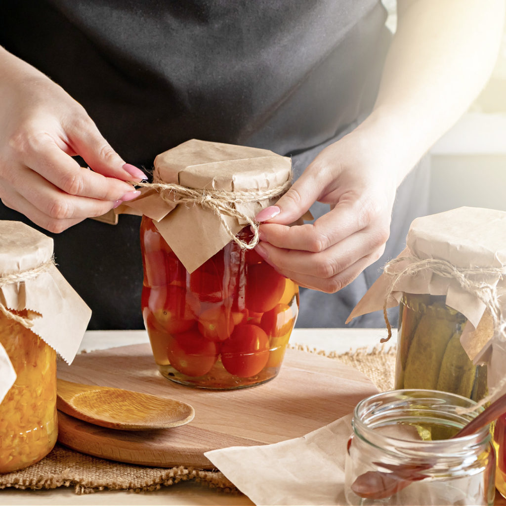 Fermentation Station - Entegro Health Probiotics